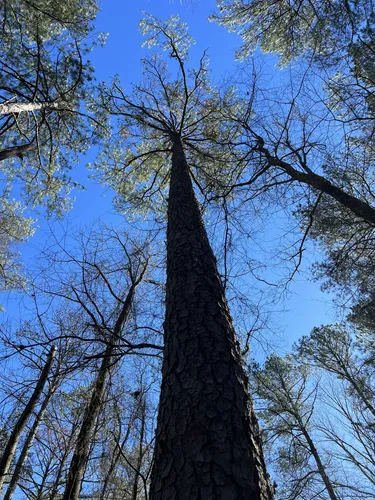 Best Hikes and Trails in Harry Pritchett Running Park | AllTrails