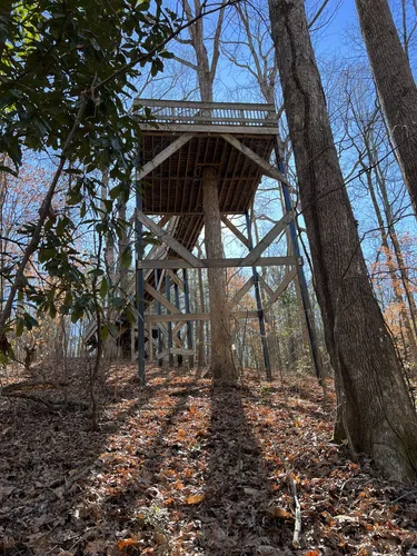 Best Hikes and Trails in Harry Pritchett Running Park | AllTrails