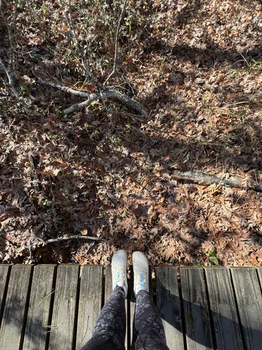 Best Hikes and Trails in Harry Pritchett Running Park | AllTrails