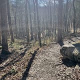 Echo River Spring and Sinkhole Loop, Kentucky - 742 Reviews, Map ...