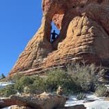 Hangover Trail, Arizona - 1,480 Reviews, Map | AllTrails