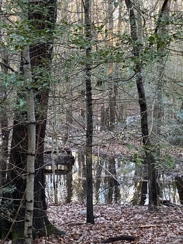 Best 10 Hiking Trails in Wheelwright Park | AllTrails