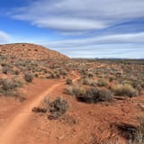 Prospector Trail, Utah - 69 Reviews, Map | AllTrails
