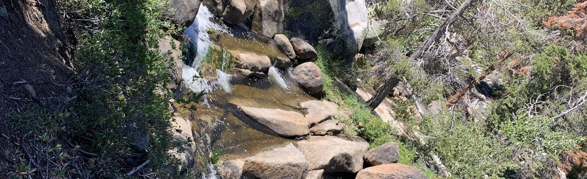 Indian Pools Trail, California - 659 Reviews, Map | AllTrails