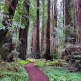 Drury-Chaney Trail, California - 816 Reviews, Map | AllTrails
