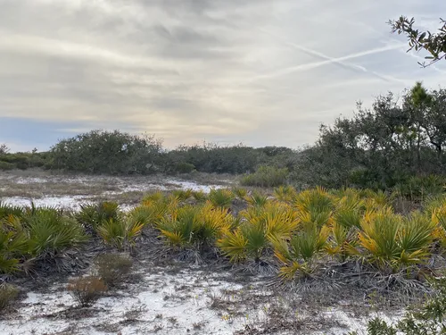 Best Hikes and Trails in Bon Secour National Wildlife Refuge | AllTrails