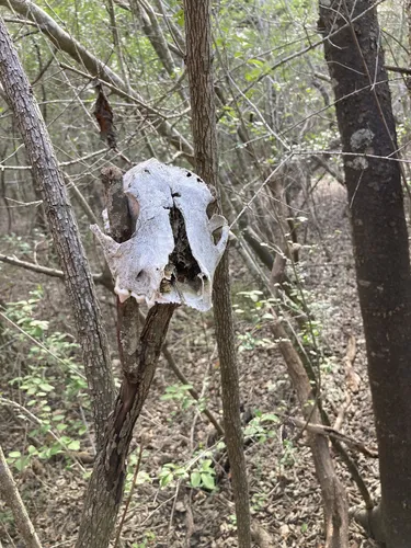 Best Hikes and Trails in Lake Bryan Park | AllTrails
