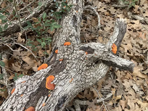 Best Hikes and Trails in Lake Bryan Park | AllTrails