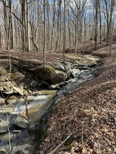 Best Hikes and Trails in Knight Brown Nature Preserve | AllTrails