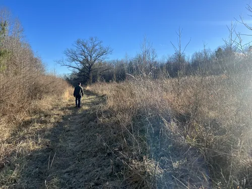 Best Hikes and Trails in Amelia Wildlife Management Area | AllTrails