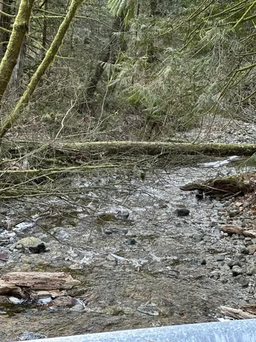 Best Hikes and Trails in Walker Valley ORV Recreational Area | AllTrails