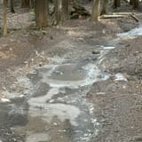 Walker Valley OHV Trail, Washington - 70 Reviews, Map | AllTrails