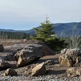 Walker Valley OHV Trail, Washington - 70 Reviews, Map | AllTrails