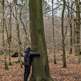 Old Pale Hill and Delamere Forest, Cheshire, England - 854 Reviews, Map ...