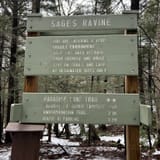 Bear Mountain Trail, Connecticut - 3,119 Reviews, Map | AllTrails