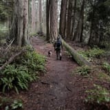 Ridge Loop Trail , Washington - 403 Reviews, Map | AllTrails