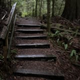 Ridge Loop Trail , Washington - 403 Reviews, Map | AllTrails