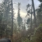 Ridge Loop Trail , Washington - 357 Reviews, Map | AllTrails