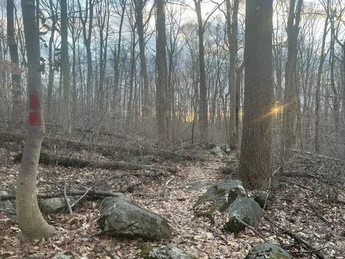 Best Hikes and Trails in Ringing Rock Park | AllTrails