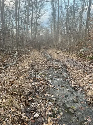 Best Hikes and Trails in Ringing Rock Park | AllTrails