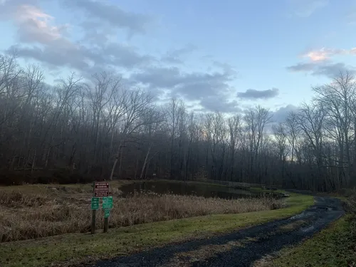 Best Hikes and Trails in Ringing Rock Park | AllTrails