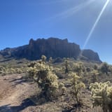 Prospector's View Trail, Arizona - 882 Reviews, Map | AllTrails