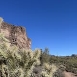 Shaka Cave via Lost Goldmine Trail, Arizona - 1,086 Reviews, Map ...