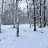 Crahen Valley Park Loop, Michigan - 1,318 Reviews, Map | AllTrails