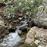 Sill Branch Falls, Tennessee - 716 Reviews, Map | AllTrails