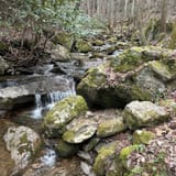 Sill Branch Falls, Tennessee - 716 Reviews, Map | AllTrails