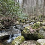 Sill Branch Falls, Tennessee - 716 Reviews, Map | AllTrails