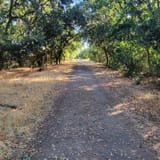 The Meadows Slough Trail, California - 435 Reviews, Map | AllTrails
