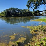 The Meadows Slough Trail, California - 435 Reviews, Map | AllTrails