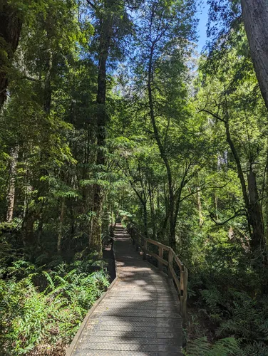 Best Forest Trails in Ada | AllTrails