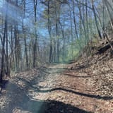 Long Creek Falls, South Carolina - 580 Reviews, Map | AllTrails