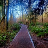LBA Park Loop Trail, Washington - 1,279 Reviews, Map | AllTrails