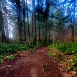 LBA Park Loop Trail, Washington - 1,279 Reviews, Map | AllTrails