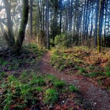 LBA Park Loop Trail, Washington - 1,279 Reviews, Map | AllTrails