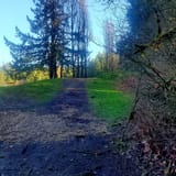 LBA Park Loop Trail, Washington - 1,279 Reviews, Map | AllTrails
