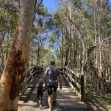 Karawatha Forest Park Quarry, Queensland, Australia - 124 Reviews, Map ...