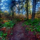 LBA Park Loop Trail, Washington - 1,279 Reviews, Map | AllTrails