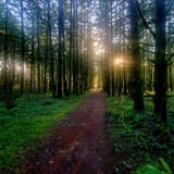 LBA Park Loop Trail, Washington - 1,279 Reviews, Map | AllTrails