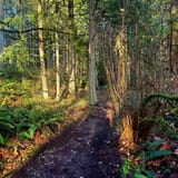 LBA Park Loop Trail, Washington - 1,279 Reviews, Map | AllTrails