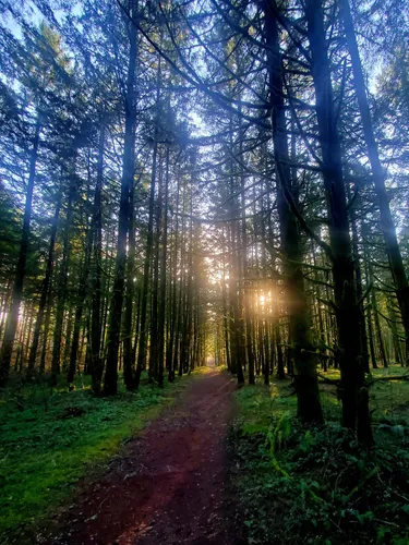 Best Hikes and Trails in Lba Park | AllTrails