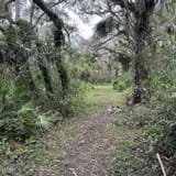 CREW Marsh Trail, Florida - 267 Reviews, Map | AllTrails