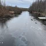 Mercer Slough Nature Park, Washington - 1,004 Reviews, Map | AllTrails