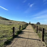 Quail Loop Trail, California - 1,692 Reviews, Map | AllTrails