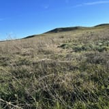 Quail Loop Trail, California - 1,692 Reviews, Map | AllTrails