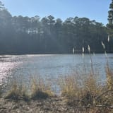 Clear Springs Lake Loop, Mississippi - 33 Reviews, Map | AllTrails