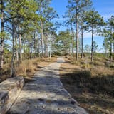 Longleaf Vista Interpretive Trail, Louisiana - 280 Reviews, Map | AllTrails